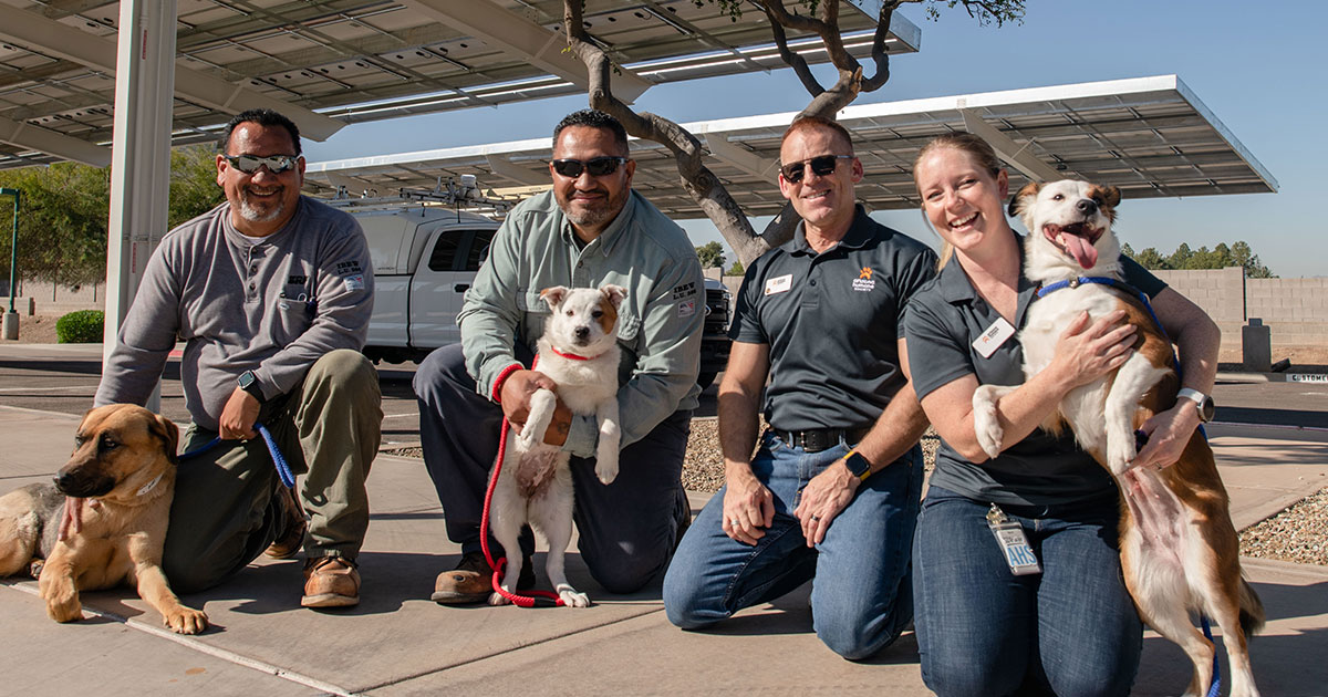 Supporting nonprofits with solar power Supporting nonprofits with solar power